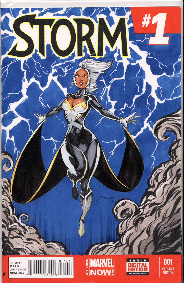 STORM #1 BLANK VARIANT w/ORIGINAL COVER ART BY ANDRES F. CRUZ ~ SIGNED ...